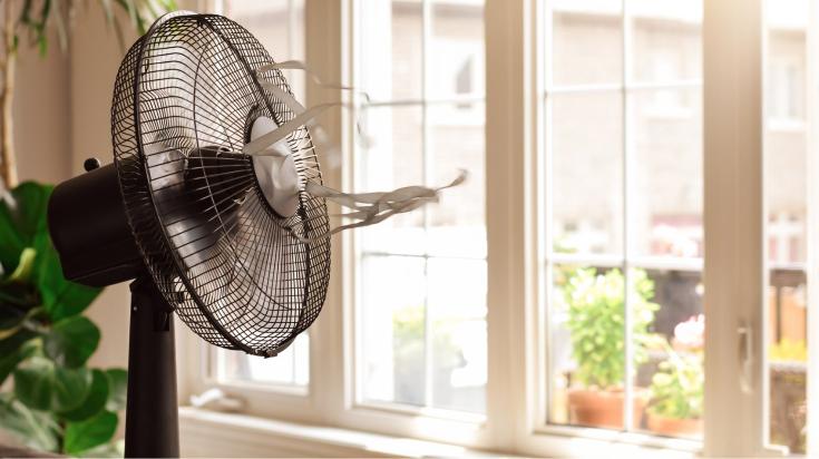 Canicule : baisser la température de 7 °C grâce à ce film solaire | L ...