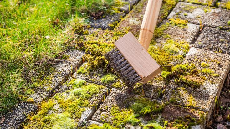 Comment se débarrasser de la mousse sur sa terrasse ? | L'immobilier ...