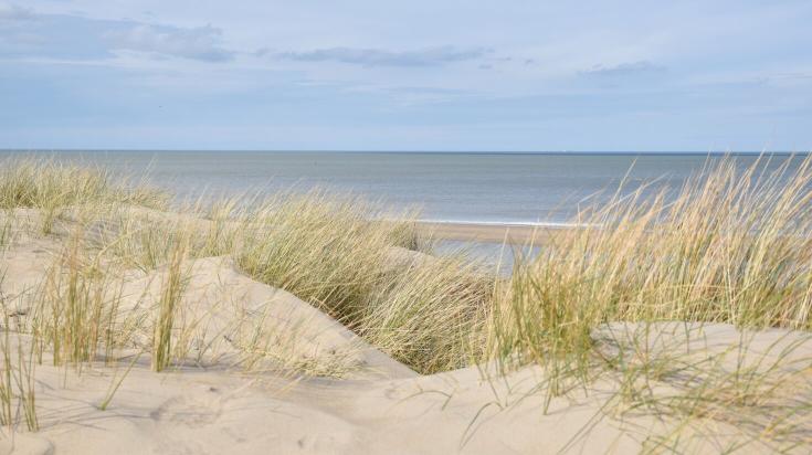 Dunes, épaves, cabines colorées : les 6 plages du Nord à découvrir cet ...