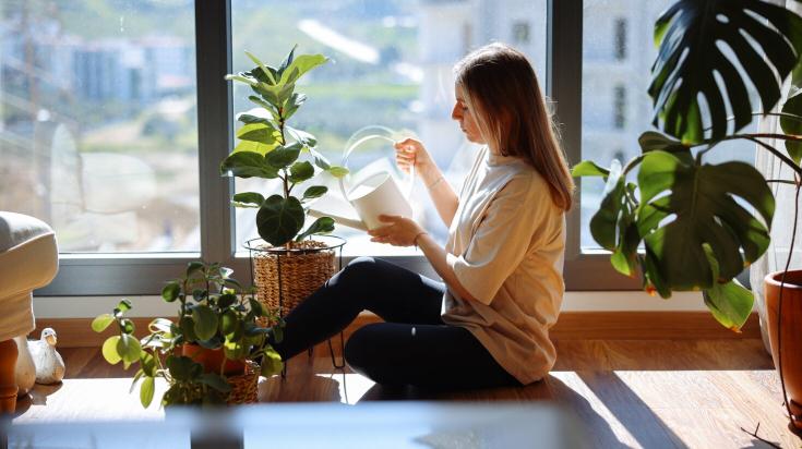 7 plantes rares qui vont changer votre intérieur | L'immobilier par SeLoger